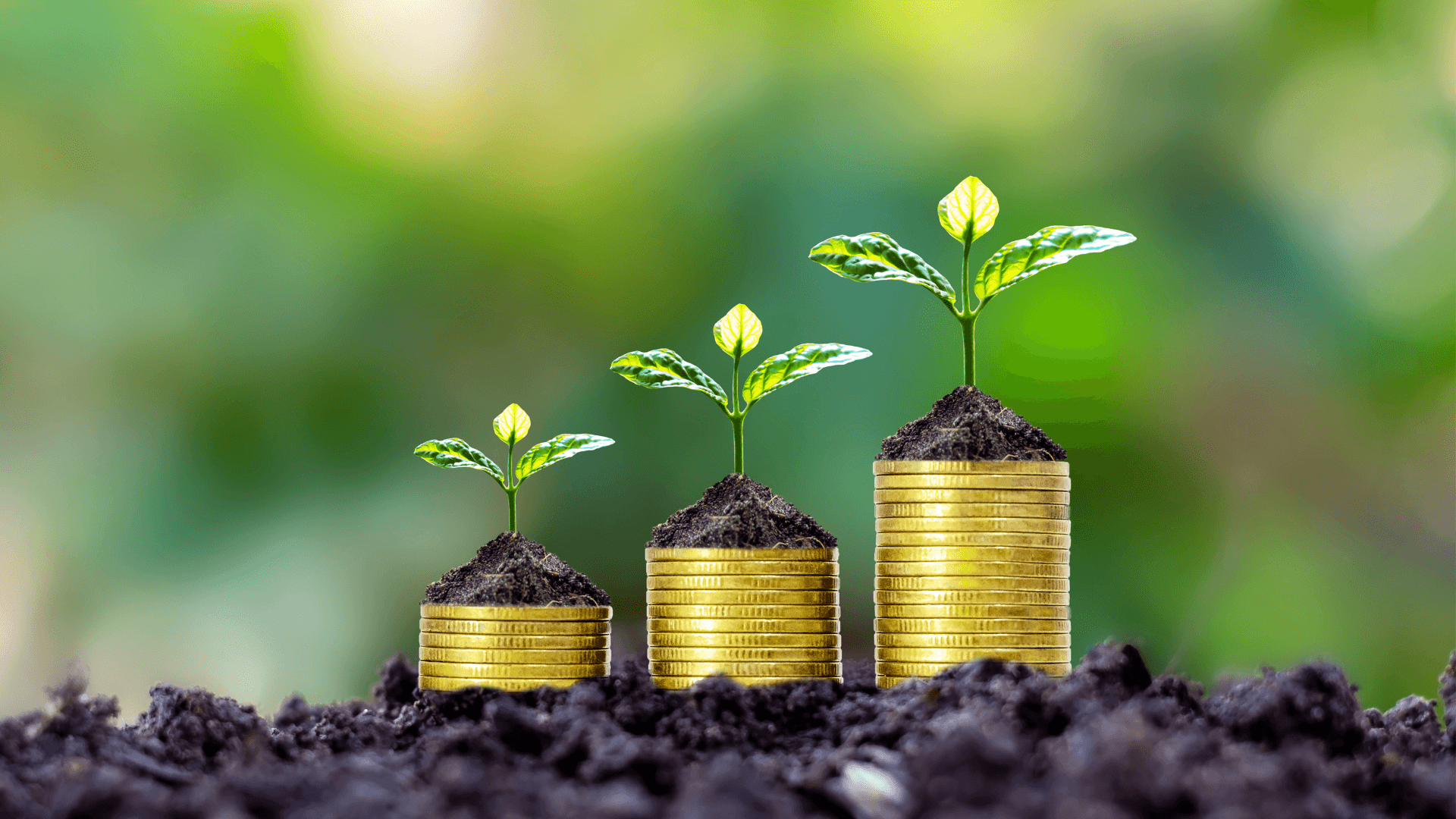 Celebrating Financial Freedom: Insights for Employee-Owned Businesses ...